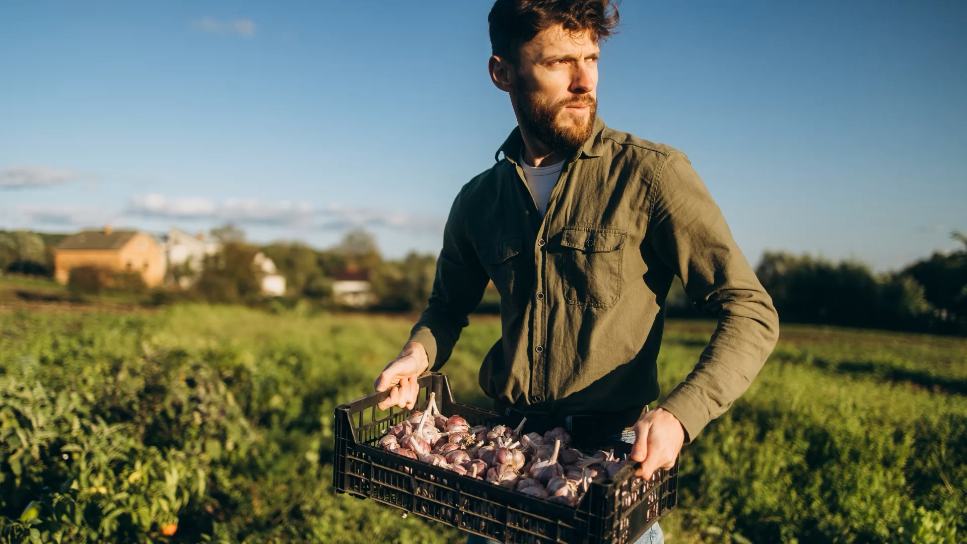 Olive Catering Services | Leading independent contract catering company